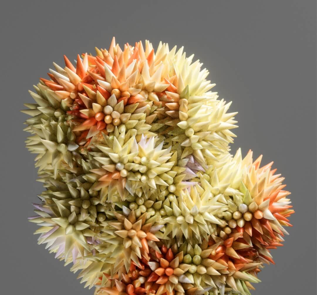 Raw Materials | An Unusual Design Company